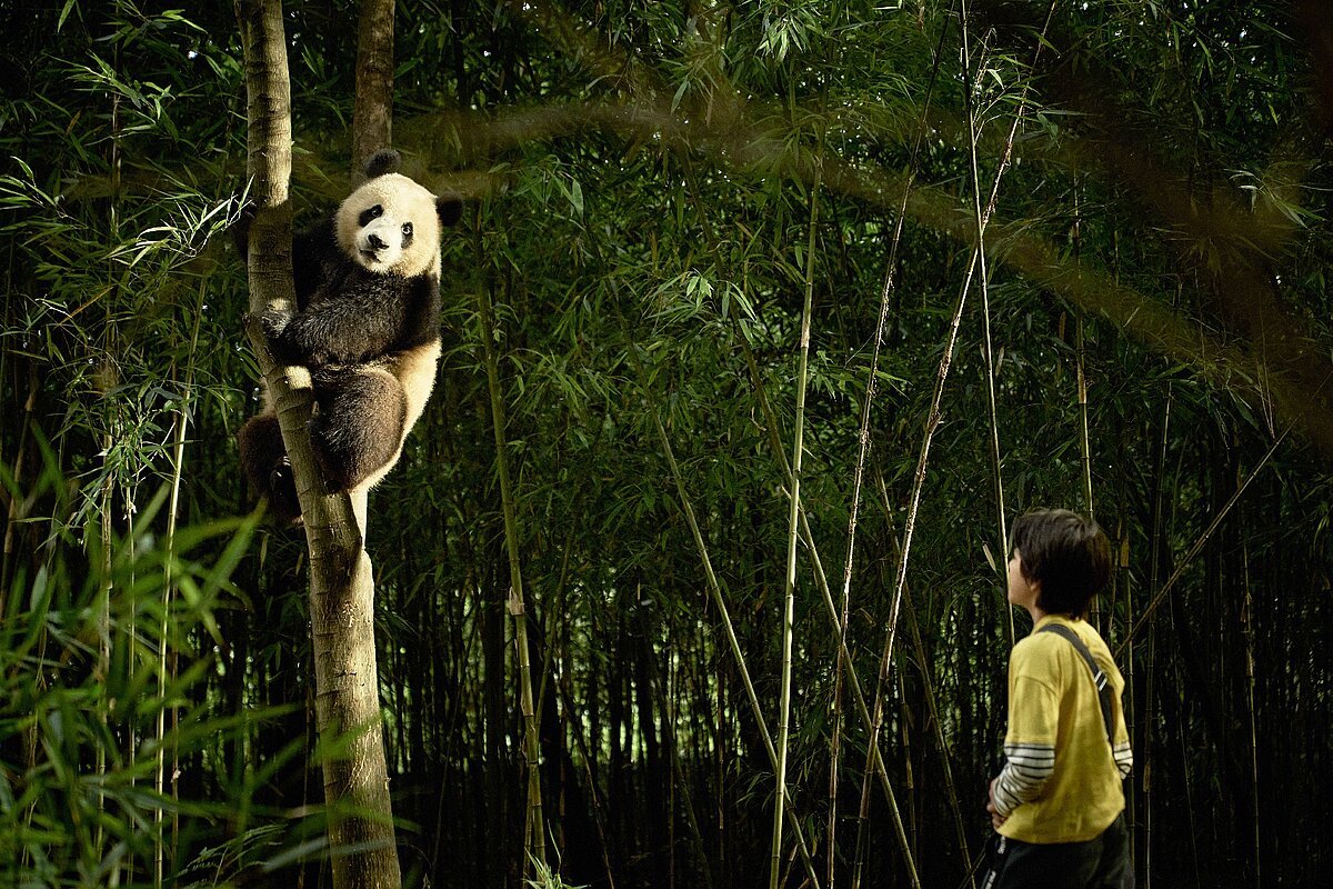 GEW NRW: Moon – der Panda